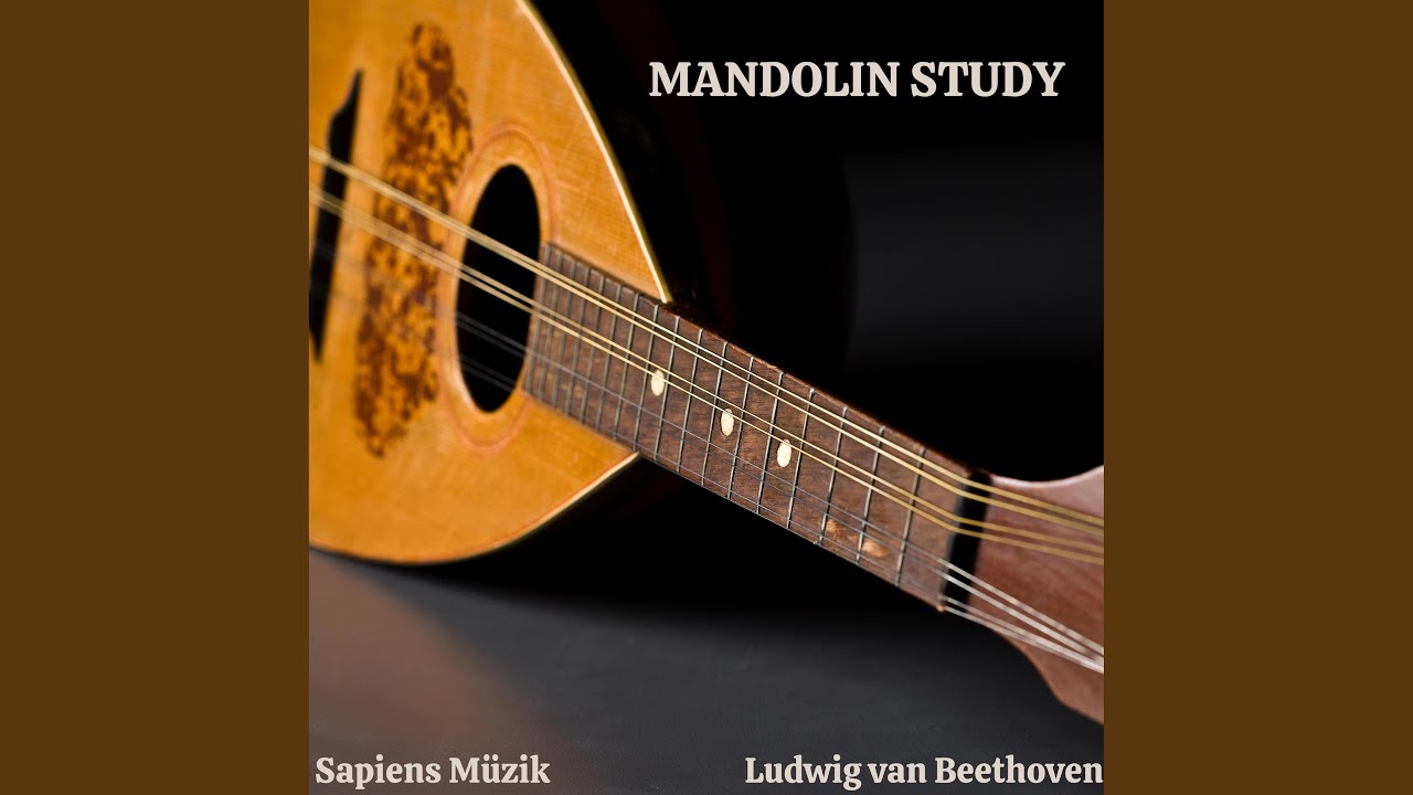 Fidelio Nr. 4 Aria (Hat man nicht auch Gold beineben Mandolin Study) - YouTube