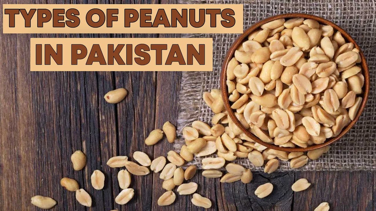 Types Of Peanuts | atelier-yuwa.ciao.jp