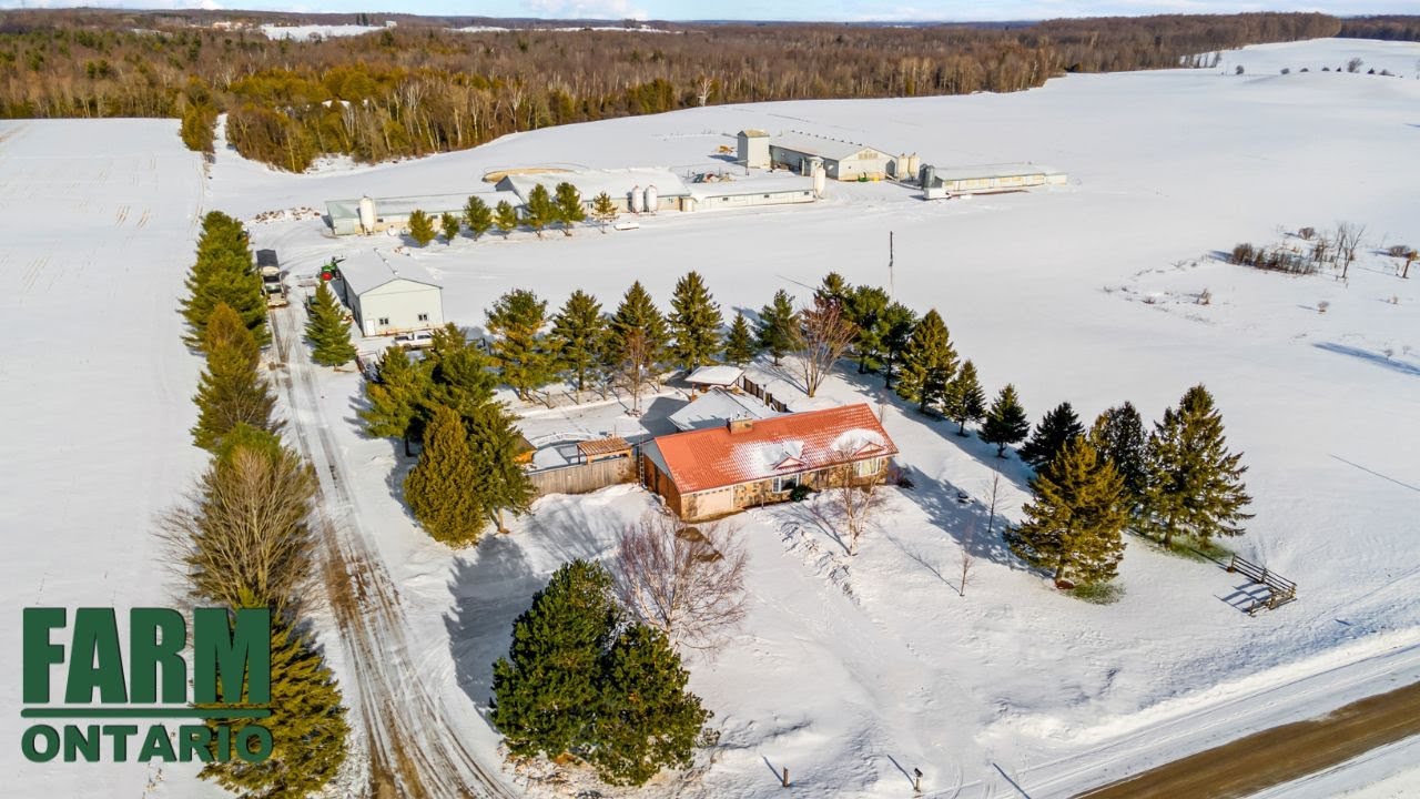 58 Schmidt Lake Rd, Cargill | Farms For Sale In Ontario - YouTube