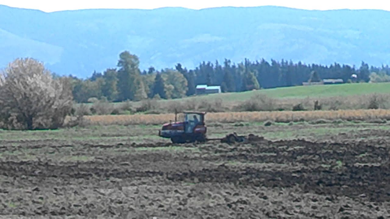 Yanmar T80 Pulling 12' Disk - YouTube
