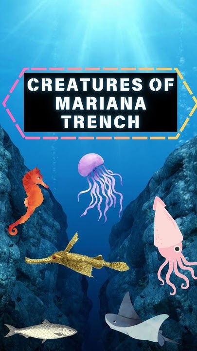 Creatures Found Only in the Mariana Trench #shorts #sea #ocean #fish # ...