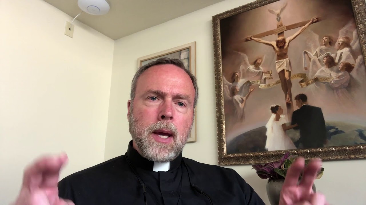 Daily Reflection from Fr Steven | March 27, 2020 - Fourth Week of Lent ...