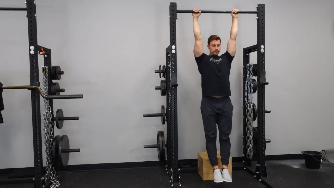 Scapular Pull Ups - YouTube