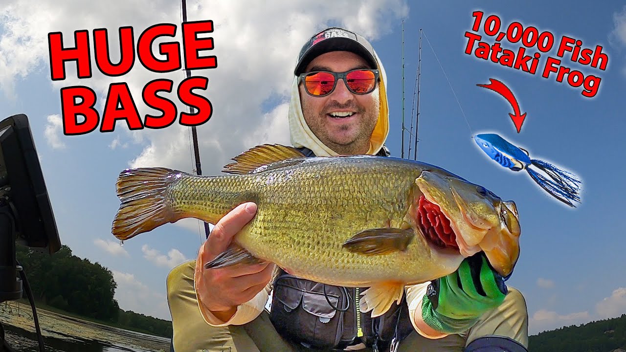 Bass Fishing ALL Day for ONE BIG BITE! - YouTube