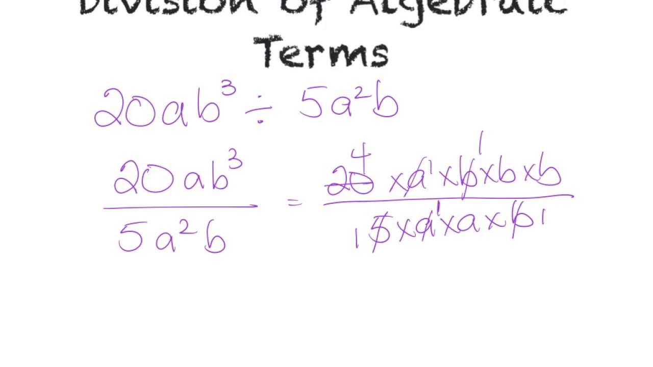 Division of Algebraic Terms - YouTube