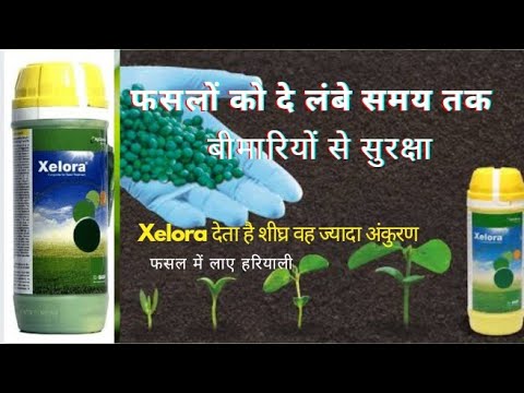 Xelora Fungicide - YouTube