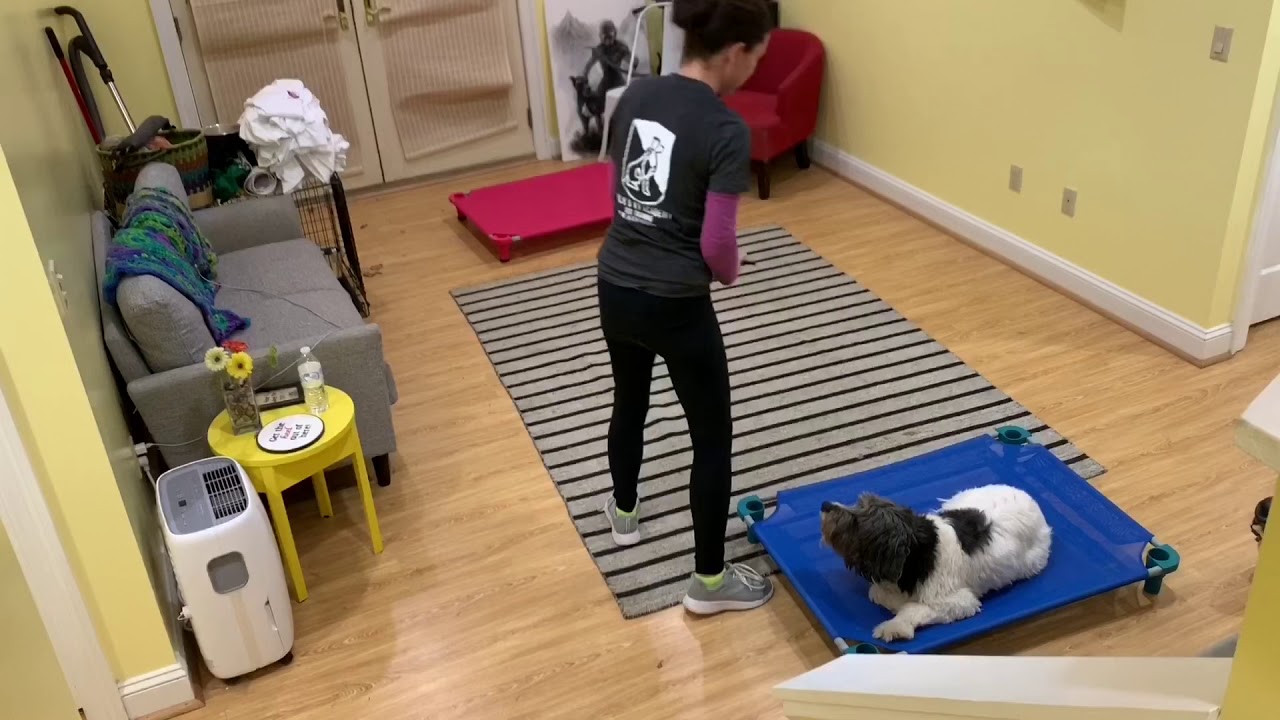 Drills in the training room with Gruff - YouTube