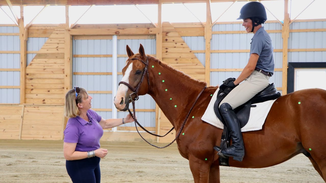 How to Ride the Posting Trot: Free Online Workshop with Wendy Murdoch ...