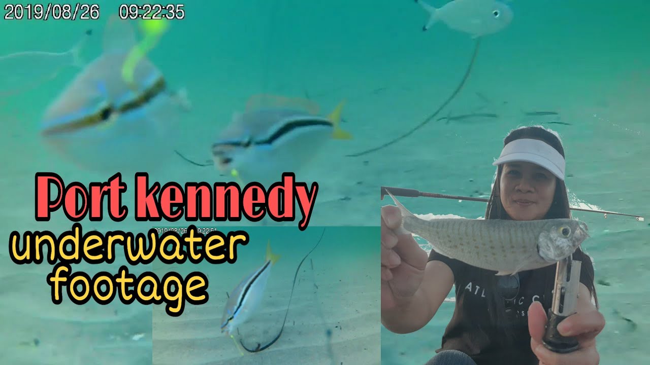 Underwater footage||Fishing||Port Kennedy||3 hooks rig - YouTube