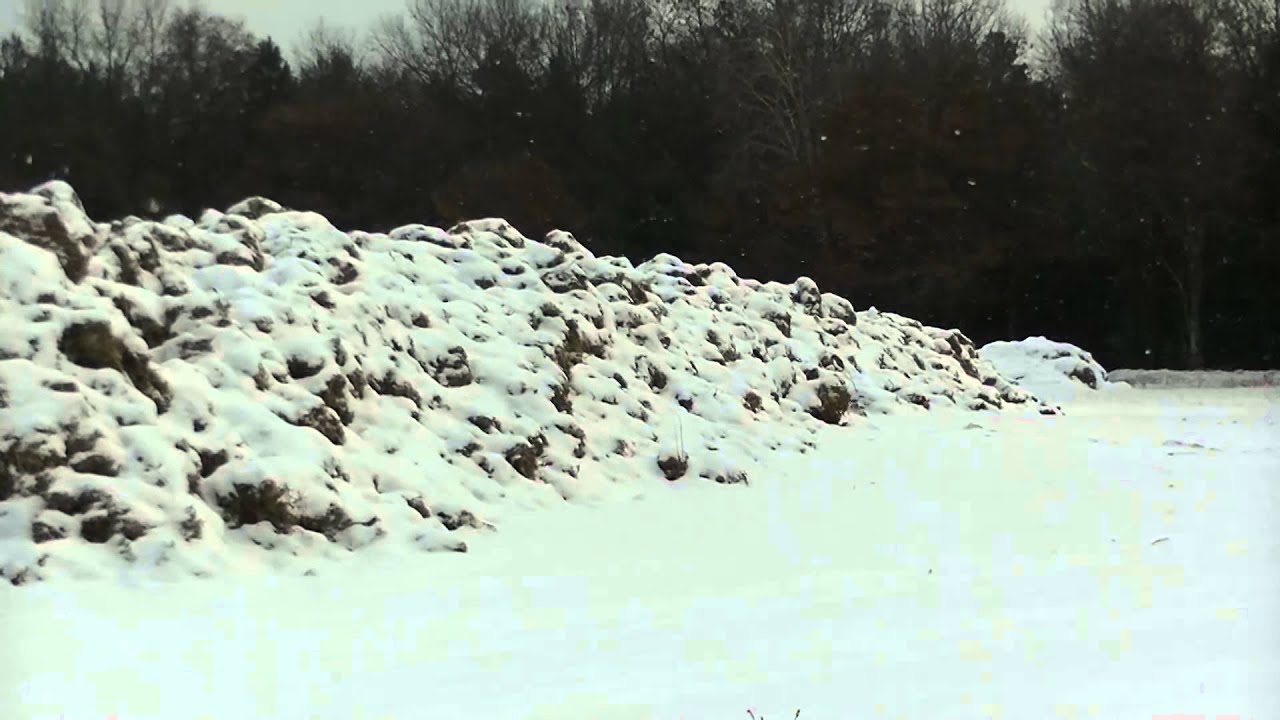 Mossing Update 11/20/14 - YouTube