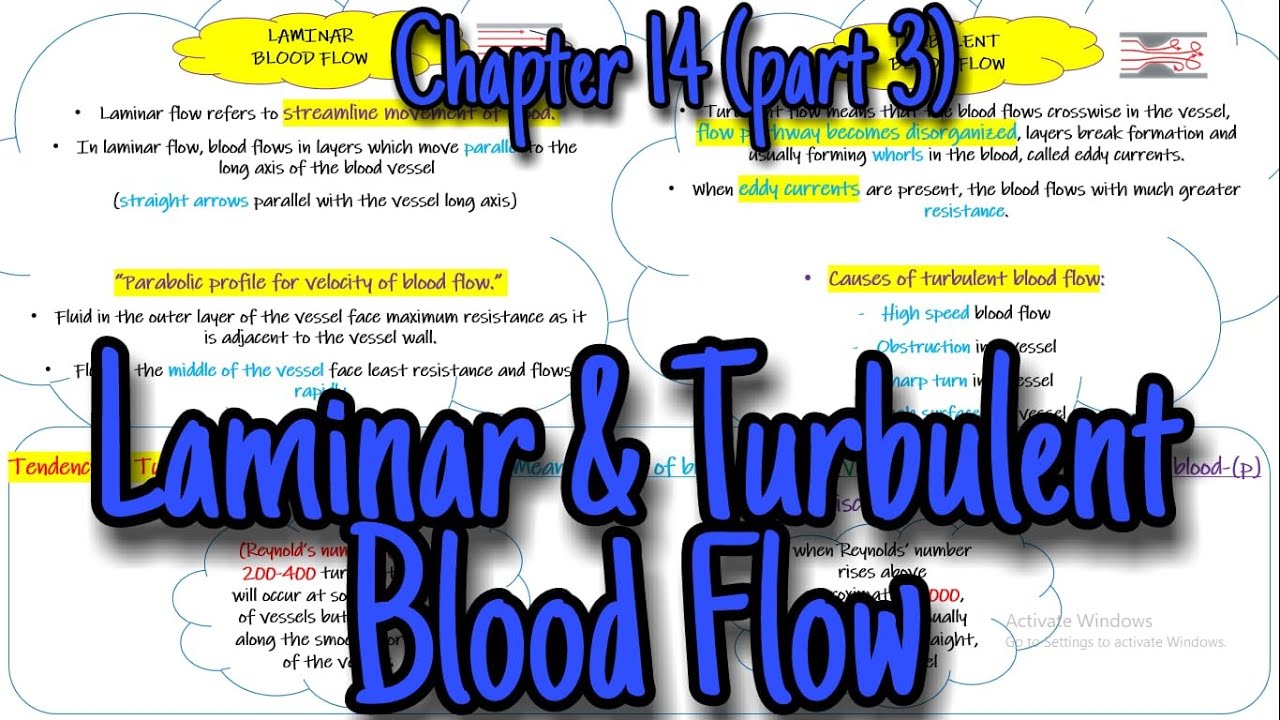 Laminar and turbulent blood flow. Chapter 14 part 3. Guyton and Hall ...
