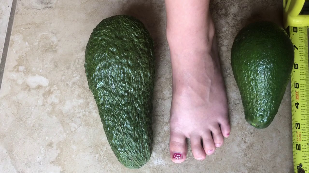 PINKERTON AVOCADO? OR UNKOWN MONSTER? - YouTube