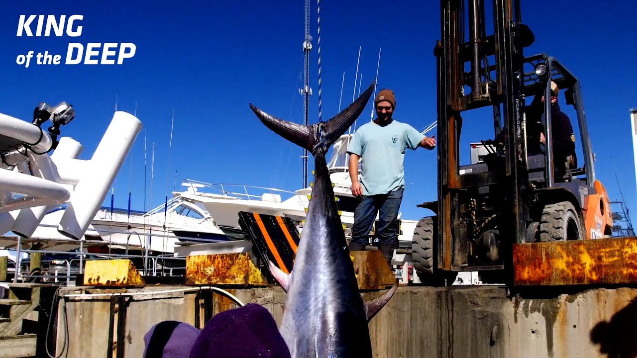 106-Inch MONSTER Bluefin! Zack Risks Everything on a Double Hook! - YouTube