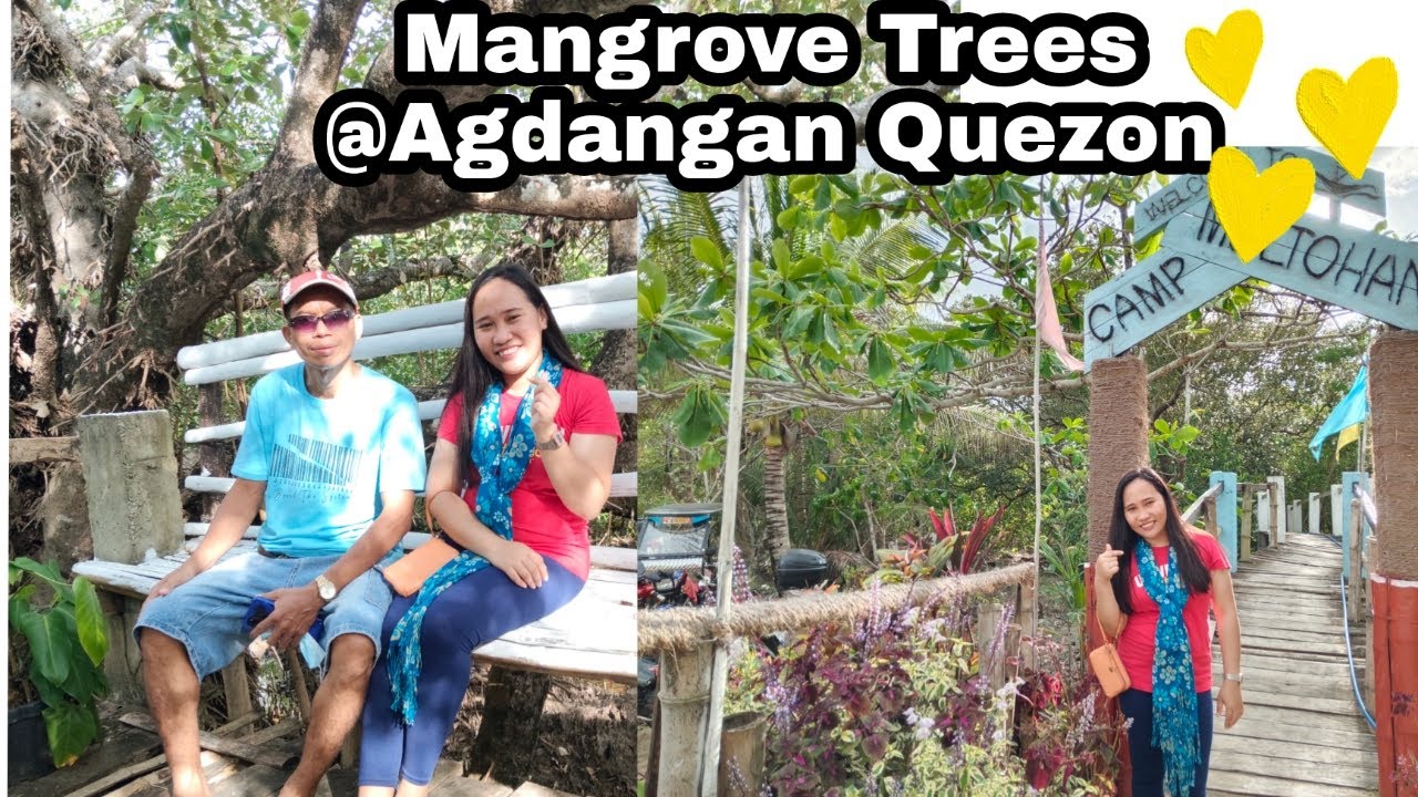 MANGROVE TREES_CAMP MULTOHAN @AGDANGAN QUEZON // G&R👩‍ ️‍👨 - YouTube