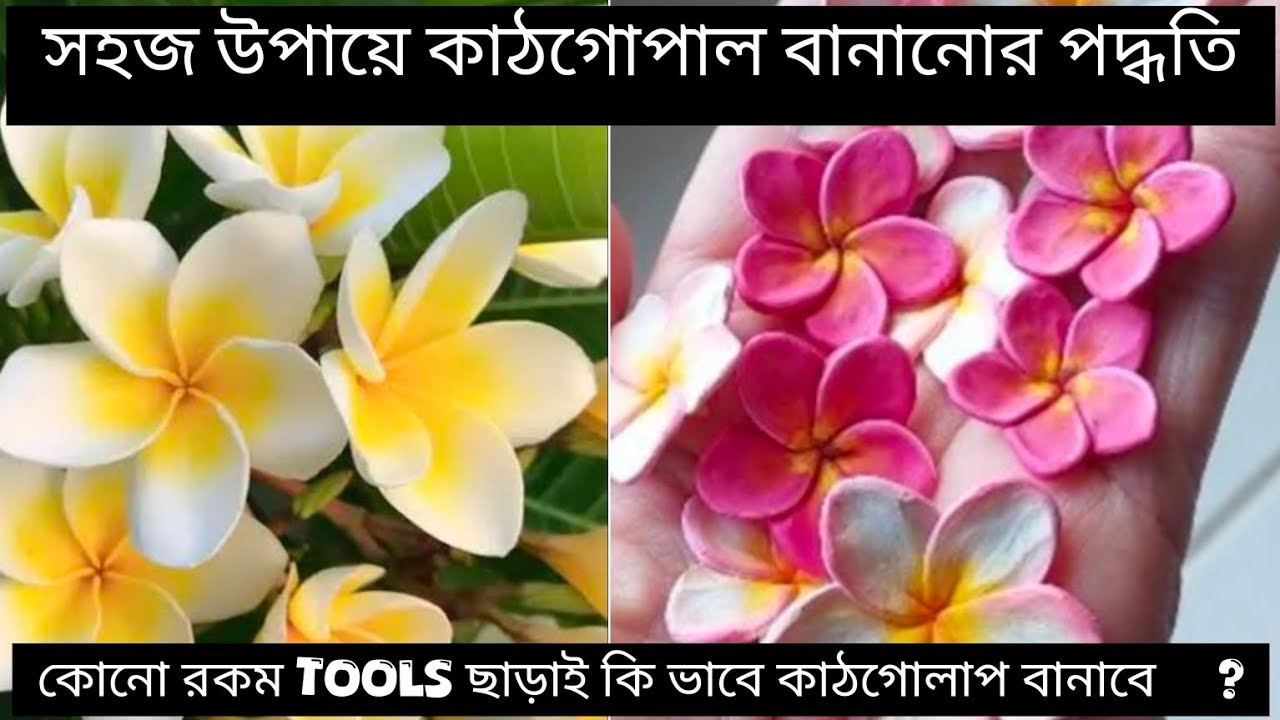 সহজ উপায়ে কাঠগোলাপ বানাবে কি করে?|| Kathgolap full tutorial || how to ...