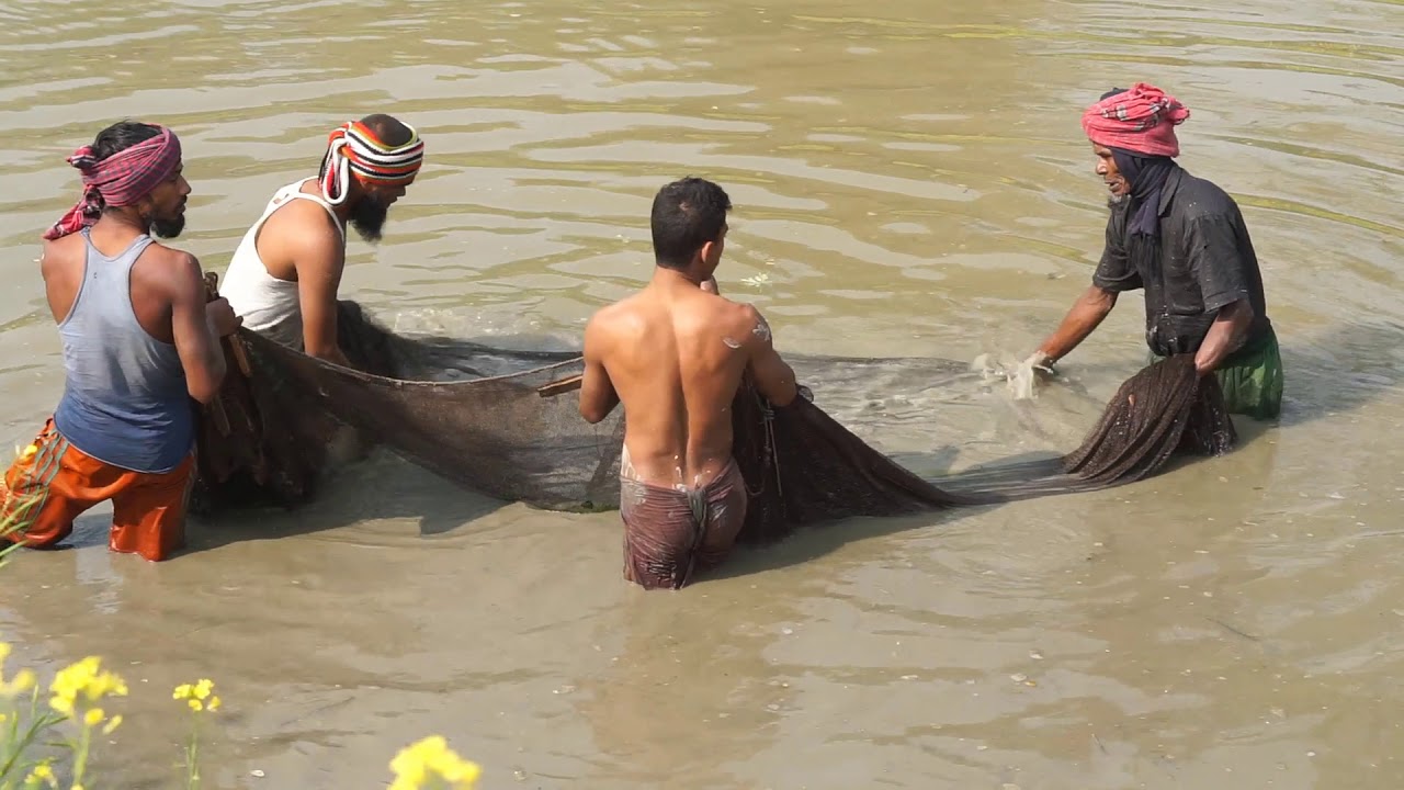 Best Fishing , Catch Small fish with net by fisherman. - YouTube