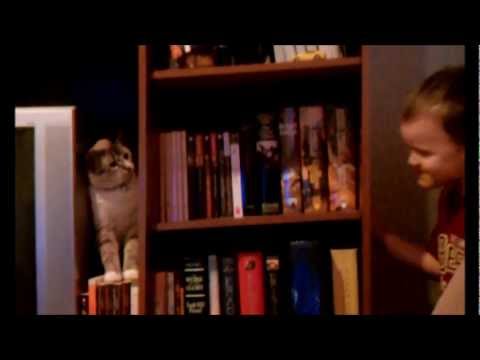 Peek-a-boo with Dobby