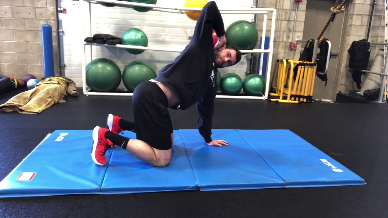 Quadruped T Spine Rotations Youtube