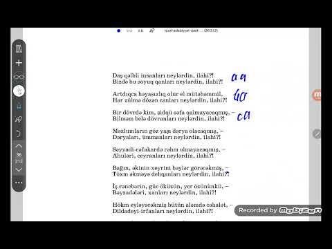 #Neylərdin, ilahi? Məzmun və təhlil