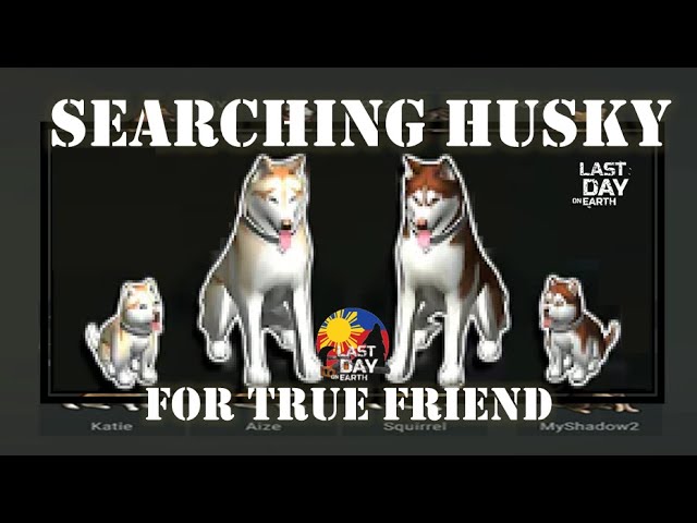 Eight Below Dogs Names With Pictures Eight Below Movie Worksheet