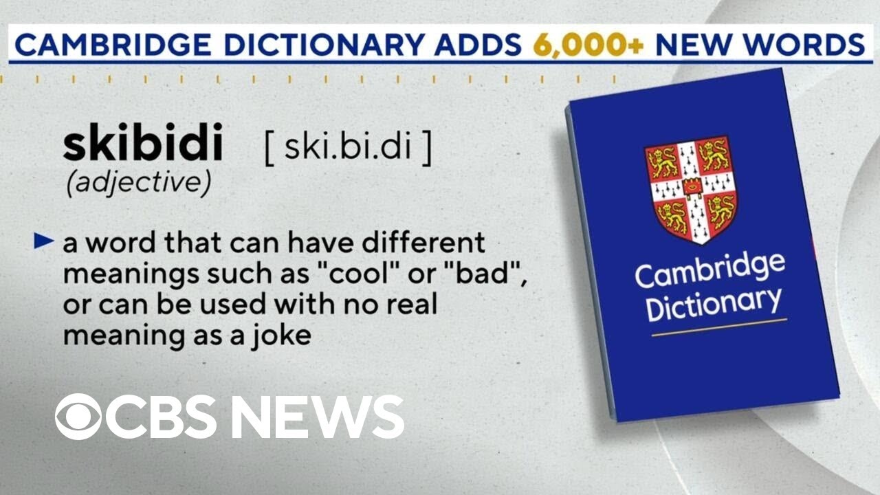 Internet slang like "skibidi" and "delulu" added to Cambridge ...