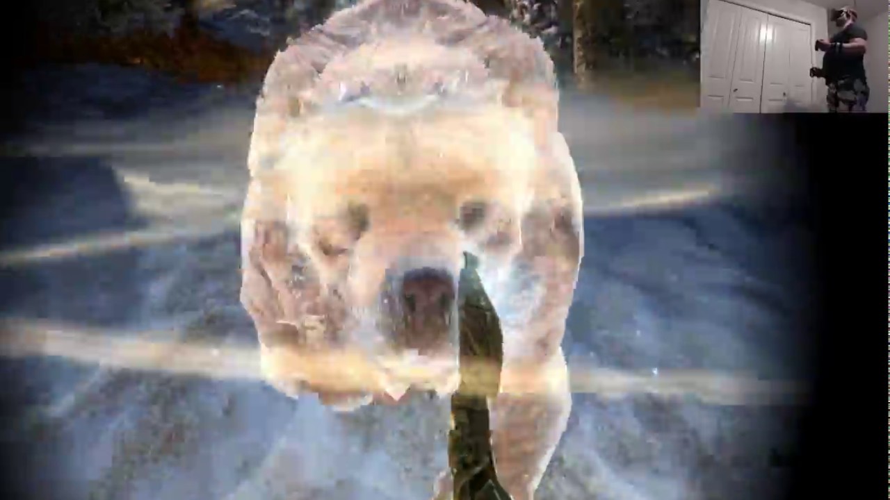 Virtual bears! A new challenge complete with ankle weights and virtual bears! - YouTube