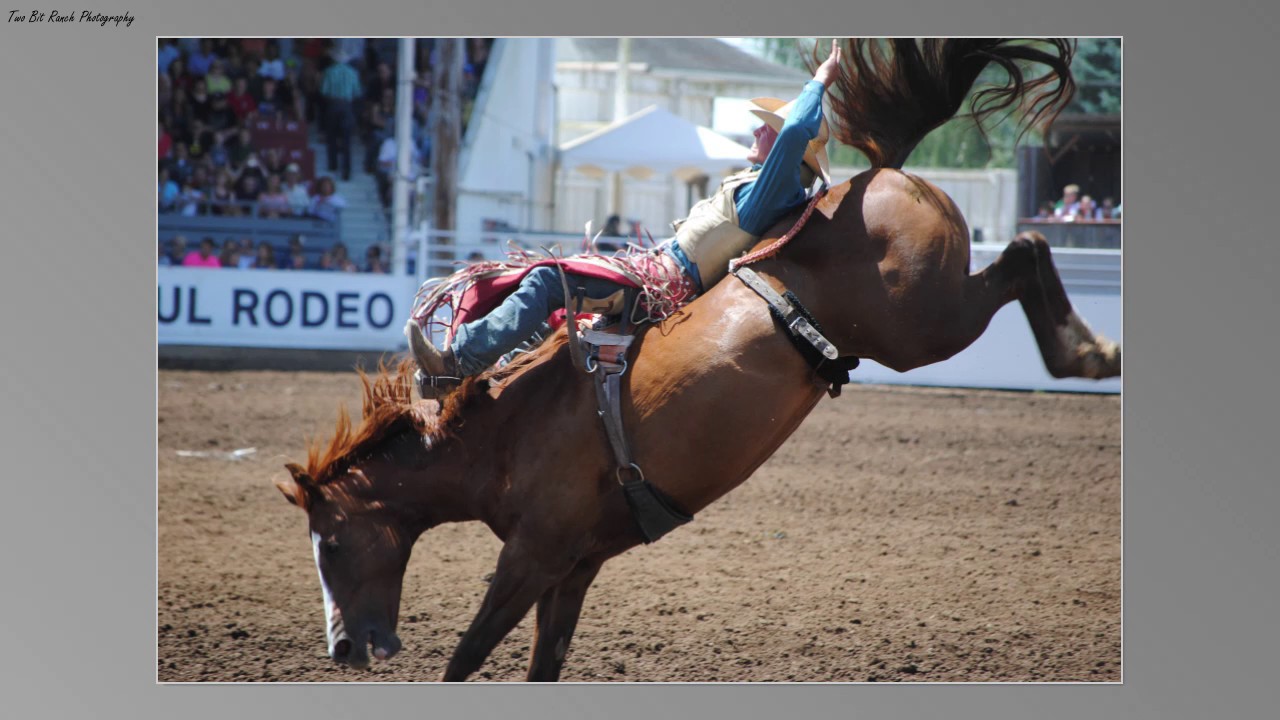 Ridin' the Rodeo - YouTube