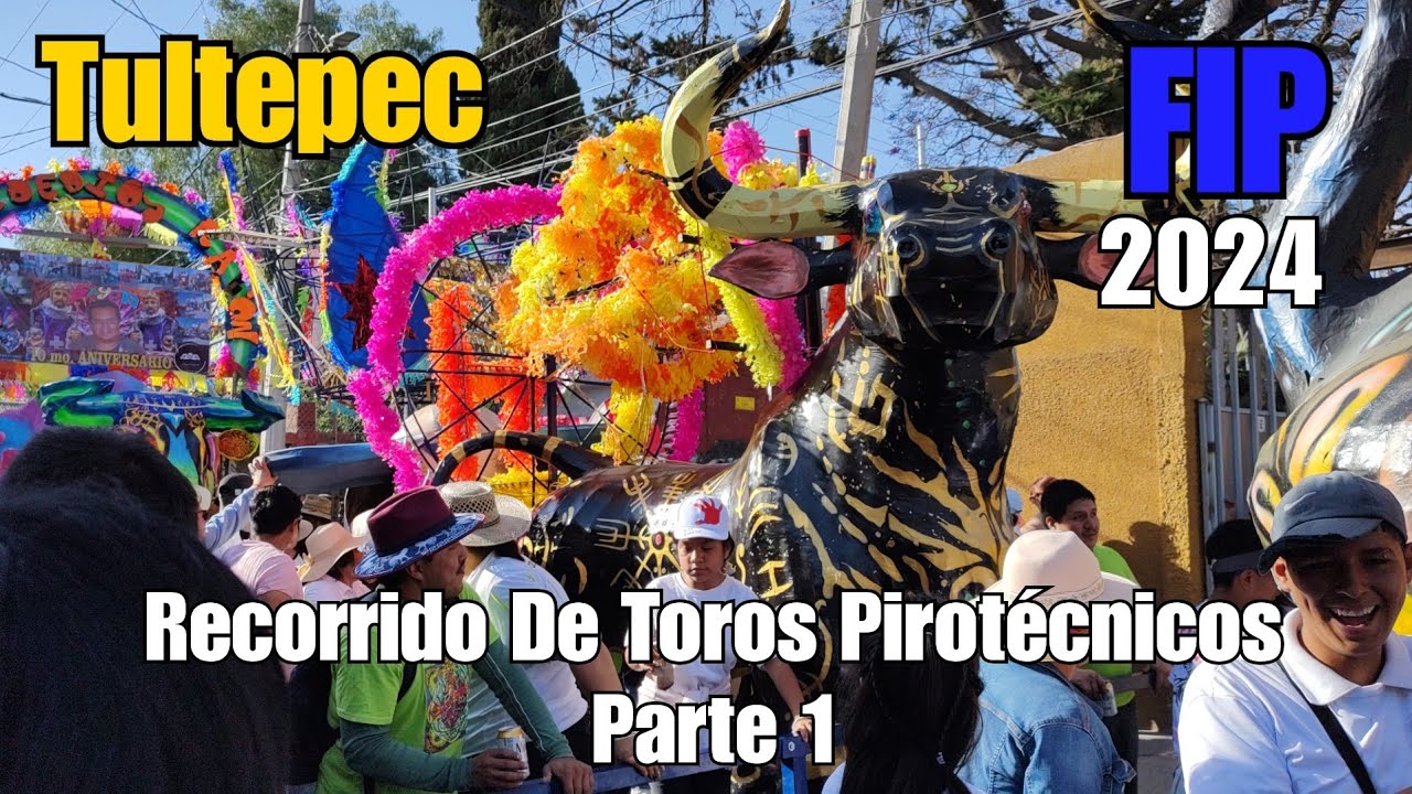 Recorrido De Toros Pirotécnicos En Honor A San Juan De Dios Tultepec ...