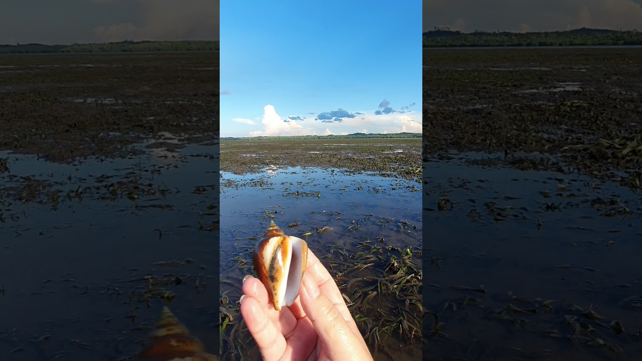 Beautiful mud place - YouTube