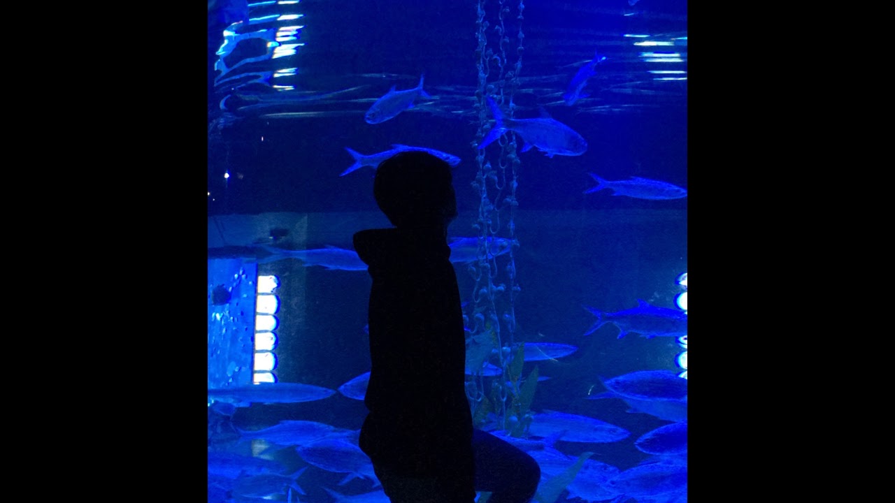 BACK TO UBEH - YouTube