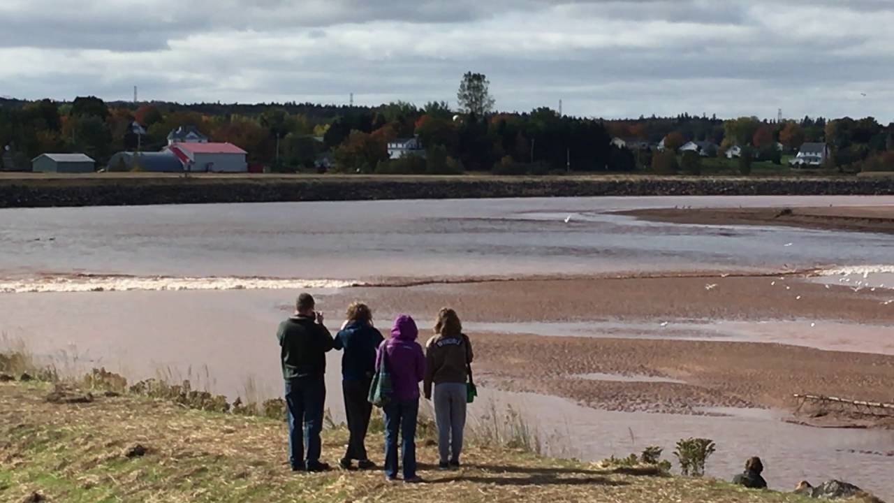 Tidal Bore at Truro, Nova Scotia, 15 Oct 2016 - YouTube