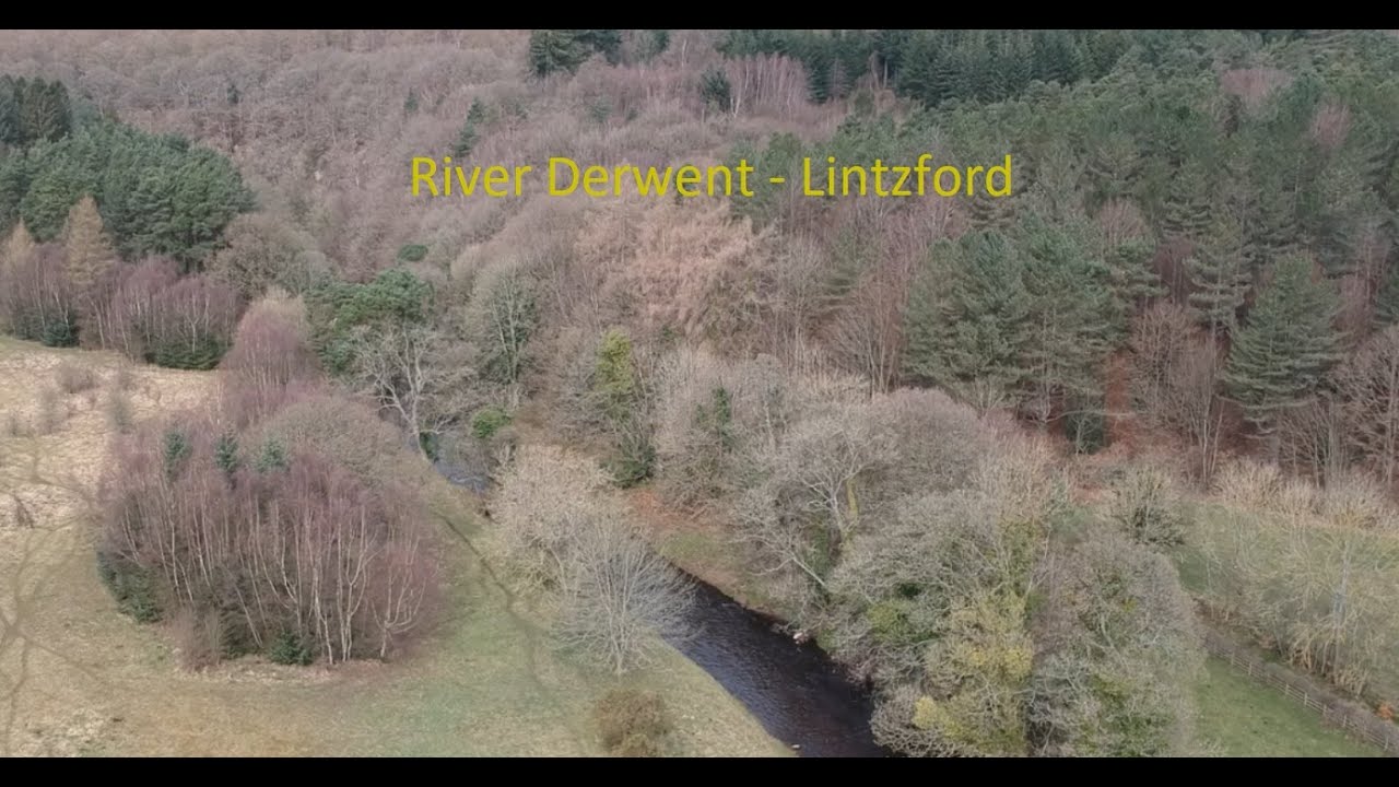 Lintzford March 2020 - YouTube