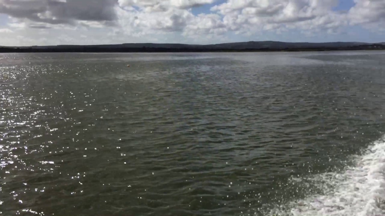 Micro plus 501 - YouTube