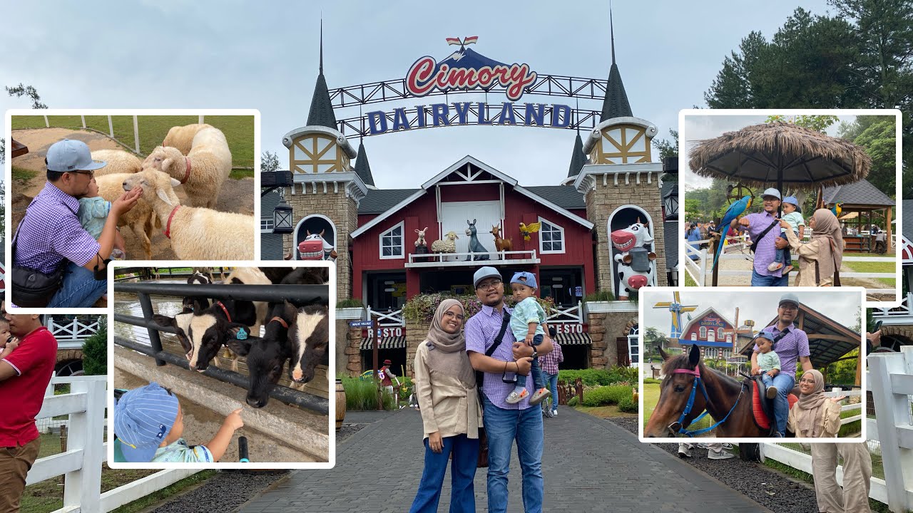 Cimory Daily Land | Puncak Bogor - YouTube