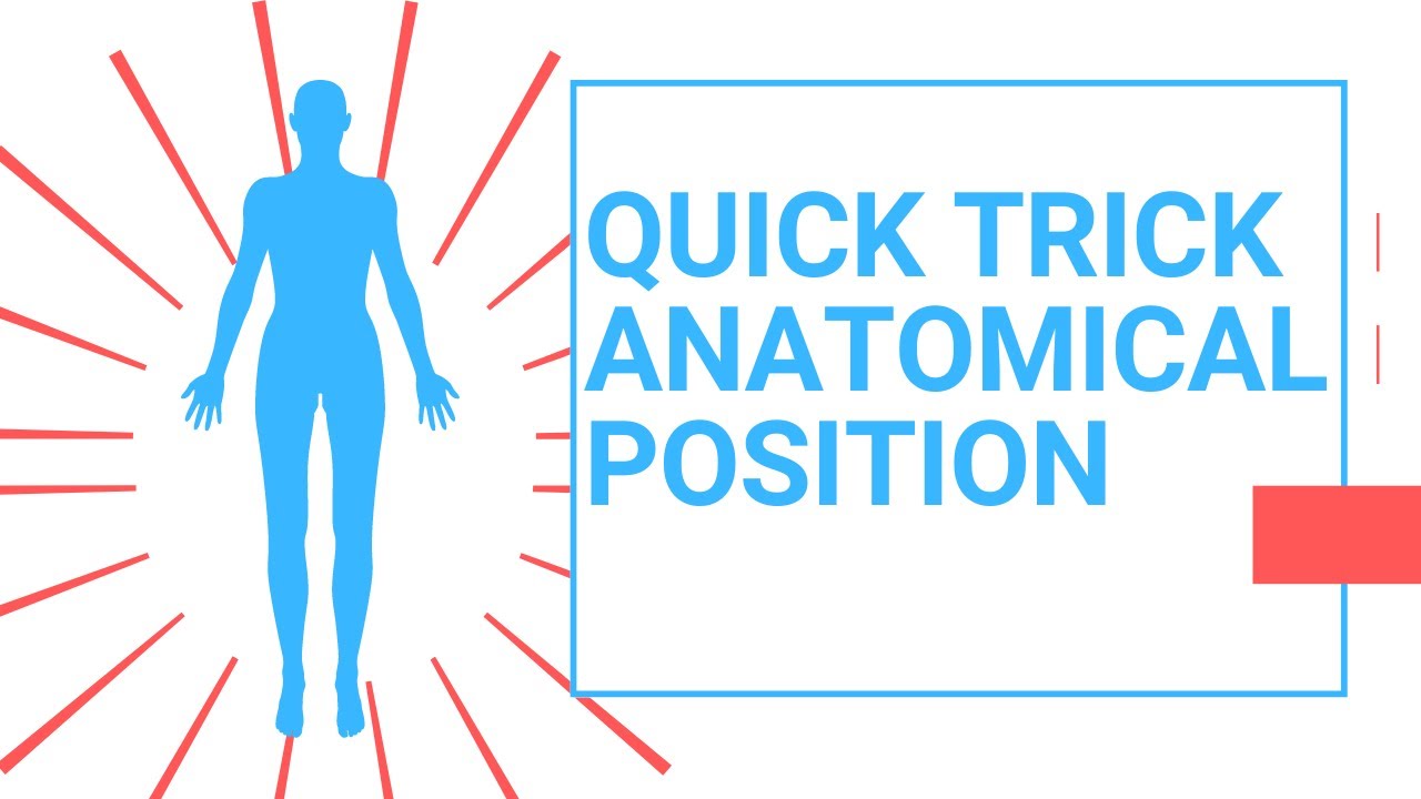 Always Remember the Anatomical Position with this One Trick - YouTube