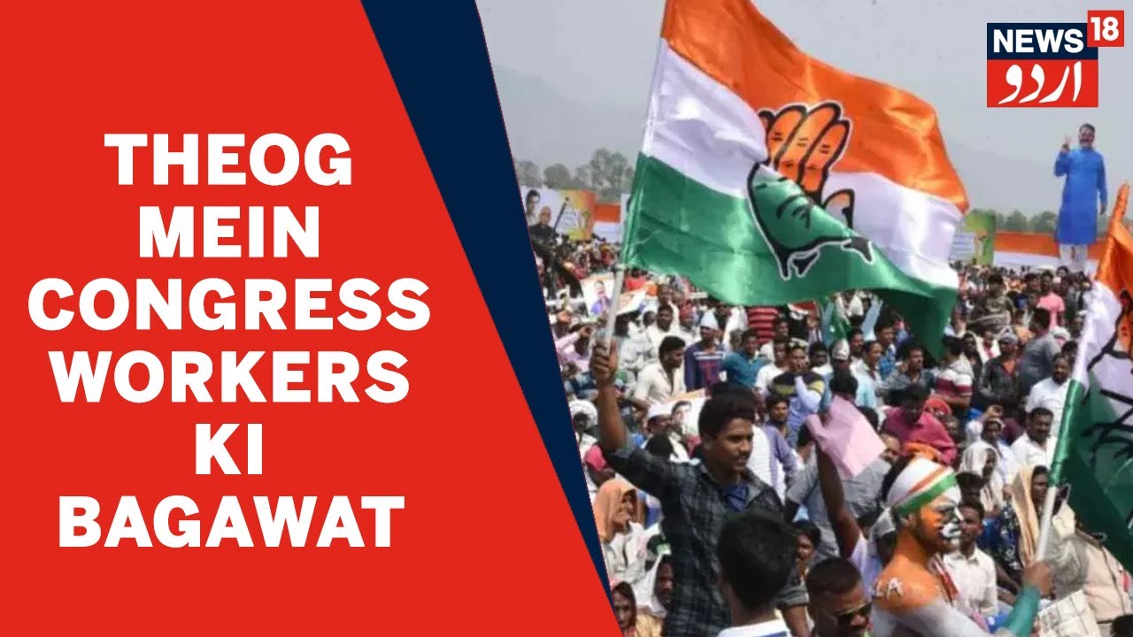 Himachal News | Theog Assembly Halqe Mein Congress Workers Ki Bagawat ...
