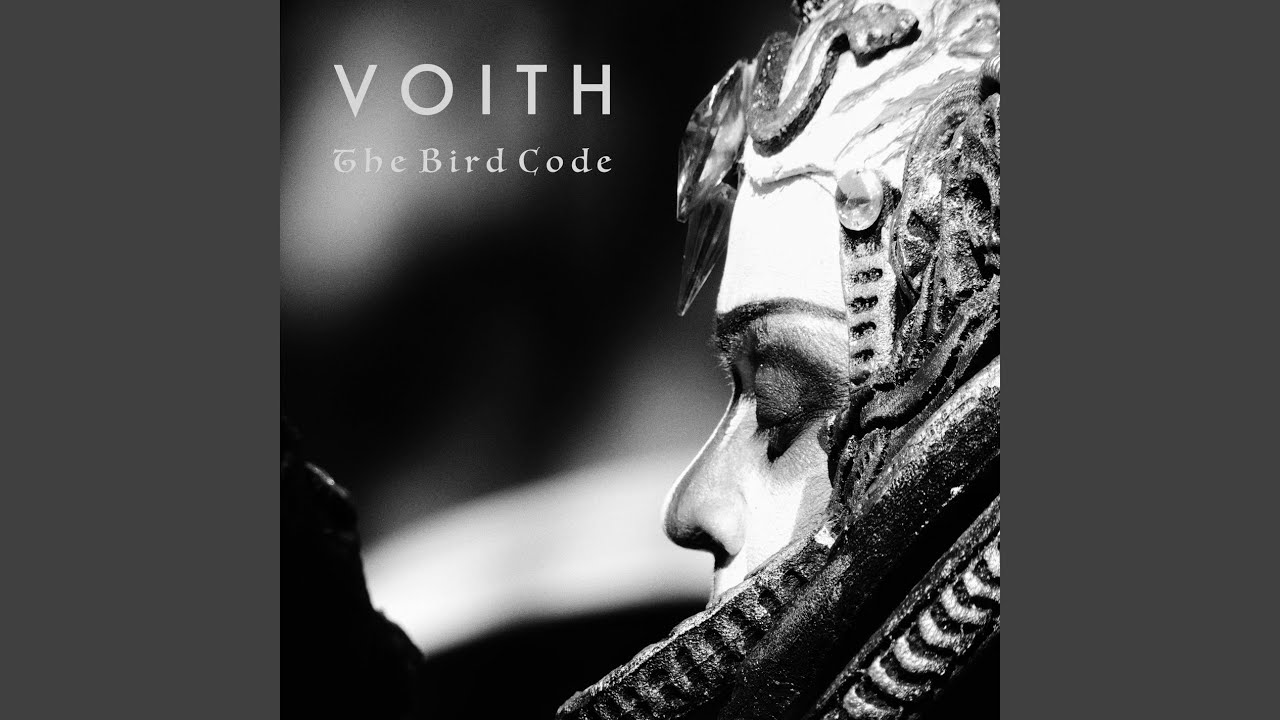 The Bird Code - YouTube