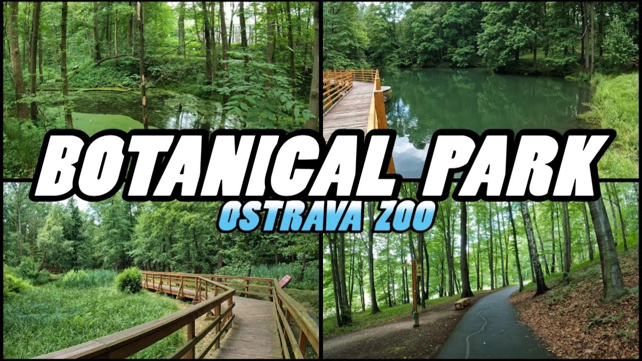 BOTANICAL PARK - Ostrava Zoo (4k) - YouTube