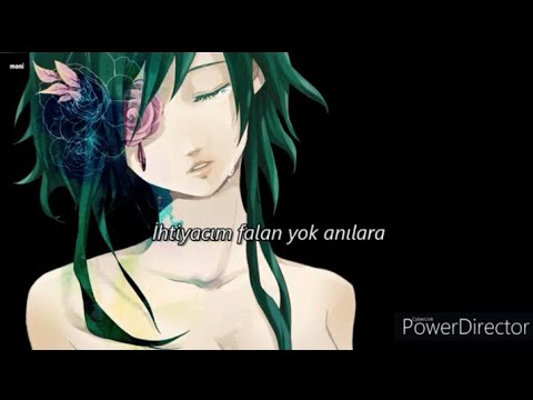 Aimer - Anatanideawanakereba -Kasetsutouka- (Türkçe Çeviri)