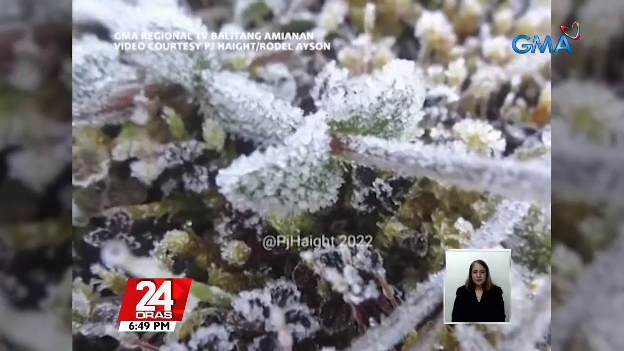 Andap, namerwisyo sa ilang pananim sa Benguet | 24 Oras - YouTube