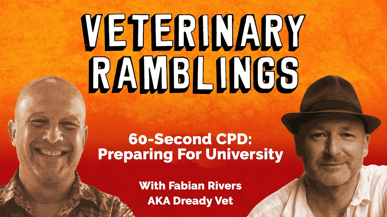 60-Second CPD: Preparing for University With Fabian Rivers AKA Dready ...