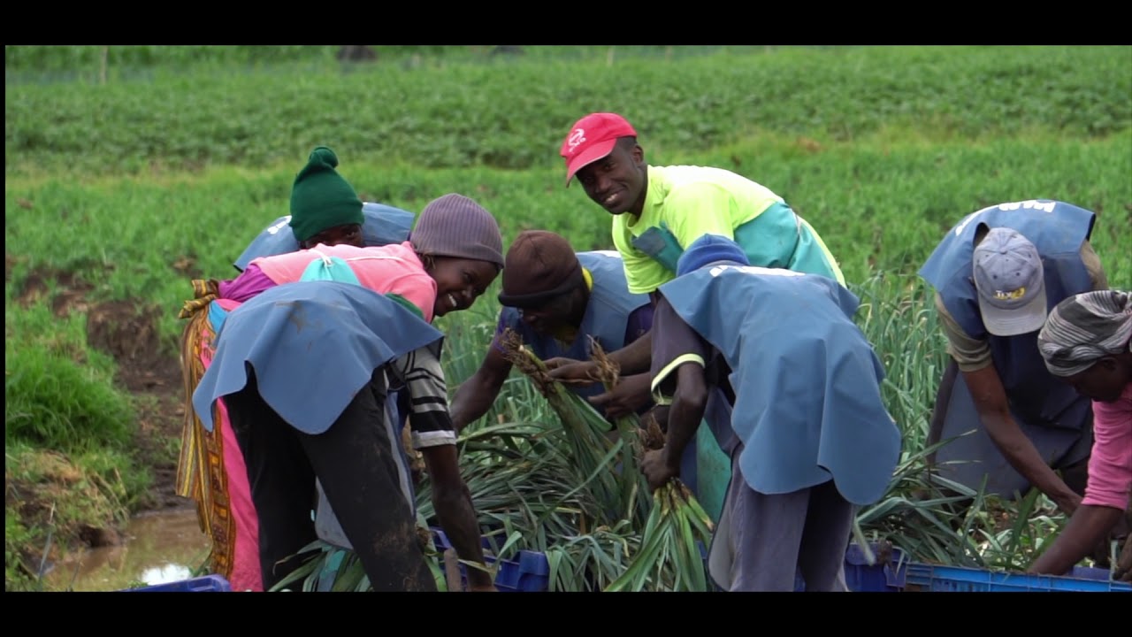 AAA Growers Promotional Video - YouTube