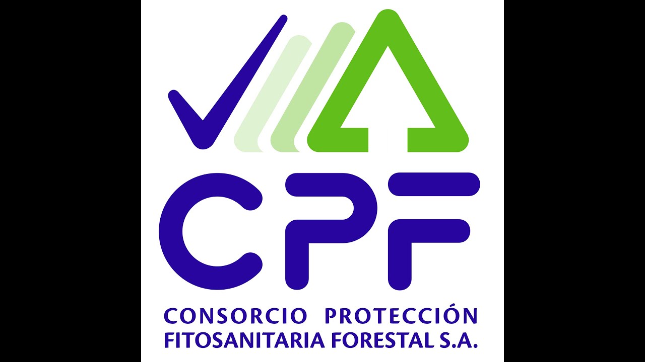 Video CPF SA 1992 2020 - YouTube