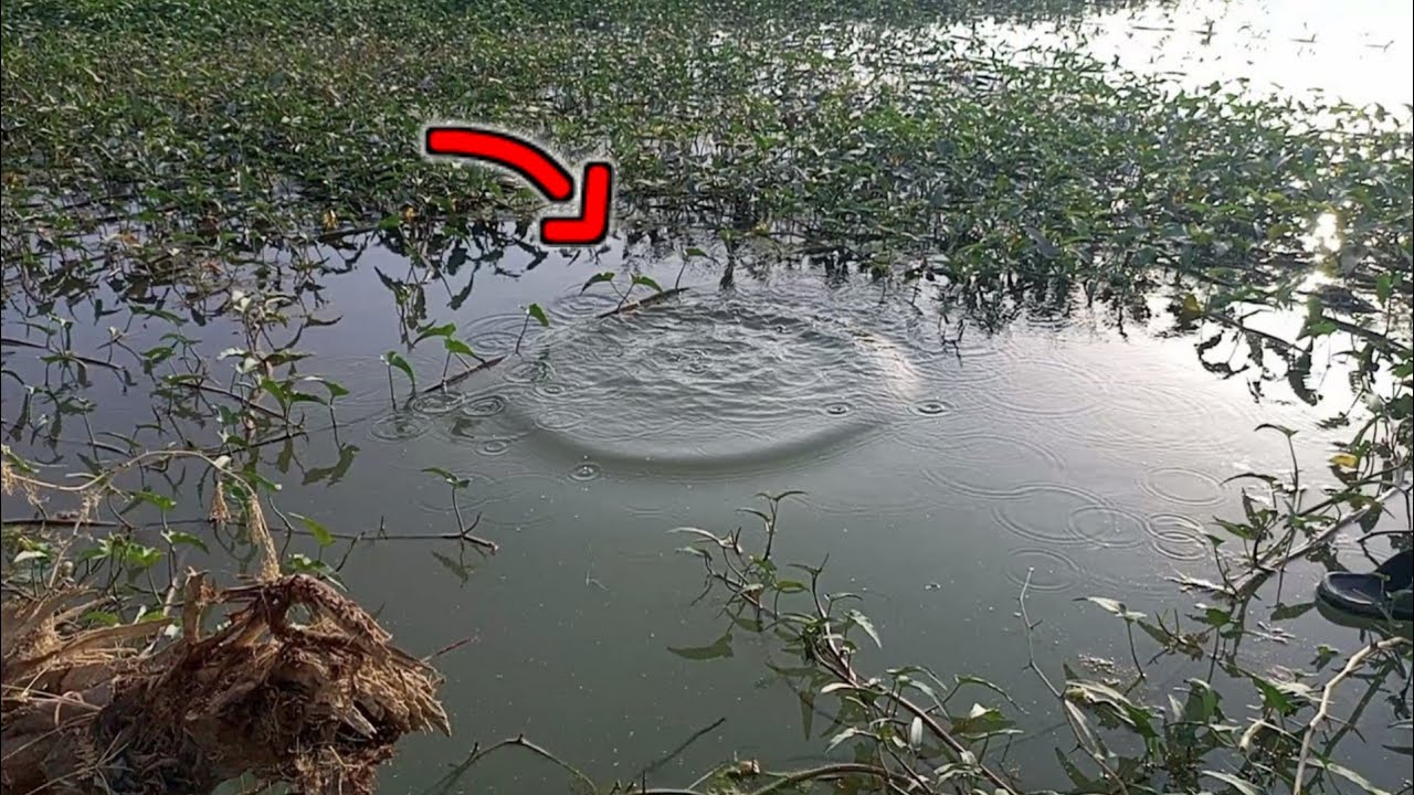 unbelievable unique fishing trick | amazing single hook bait fishing ...