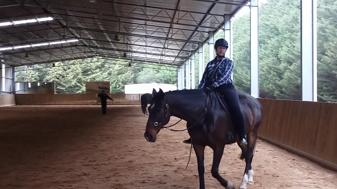 JC Clinic Demo - Dr Melanie Quick - YouTube