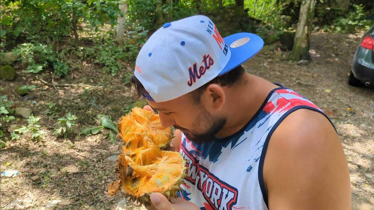 llegamos a San Francisco Morazán,, aprobando por primera vez fruta ...