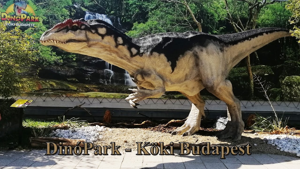 DinóPark - Köki Budapest - YouTube