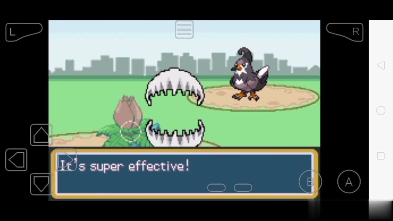 Pokémon Radical Red Boss Fights and Gym Leaders - YouTube