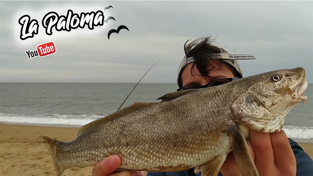 Pesca La Paloma/Competencia Solidaria/ Rocha Uruguay - YouTube