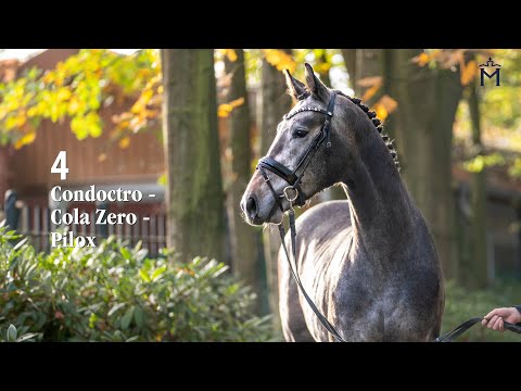 Nr. 4 v. Condoctro/Cola Zero
